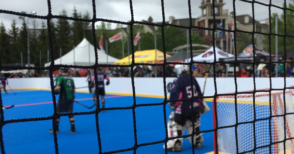 Flex Rink Soft Fencing